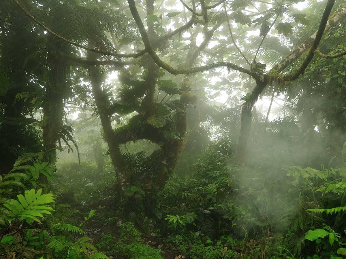 Saba Villas - Plan your trip to Paradise